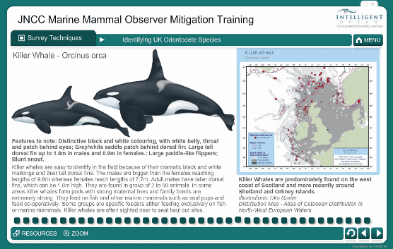 JNCC MMO eLearning | Intelligent Ocean