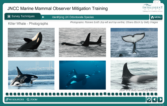 JNCC MMO eLearning | Intelligent Ocean